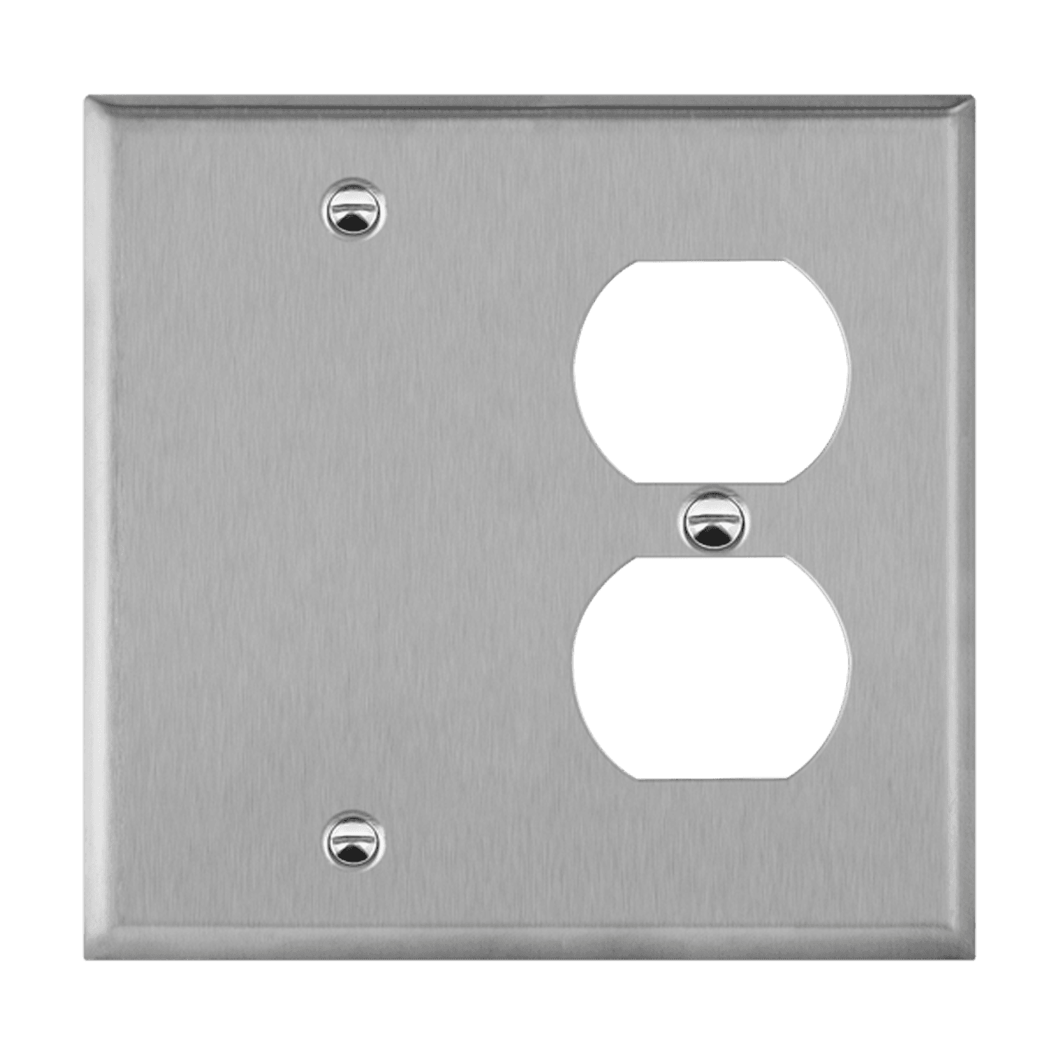 Stainless Steel Blank and Duplex Two Gang Wall Plate – Green Electrical ...