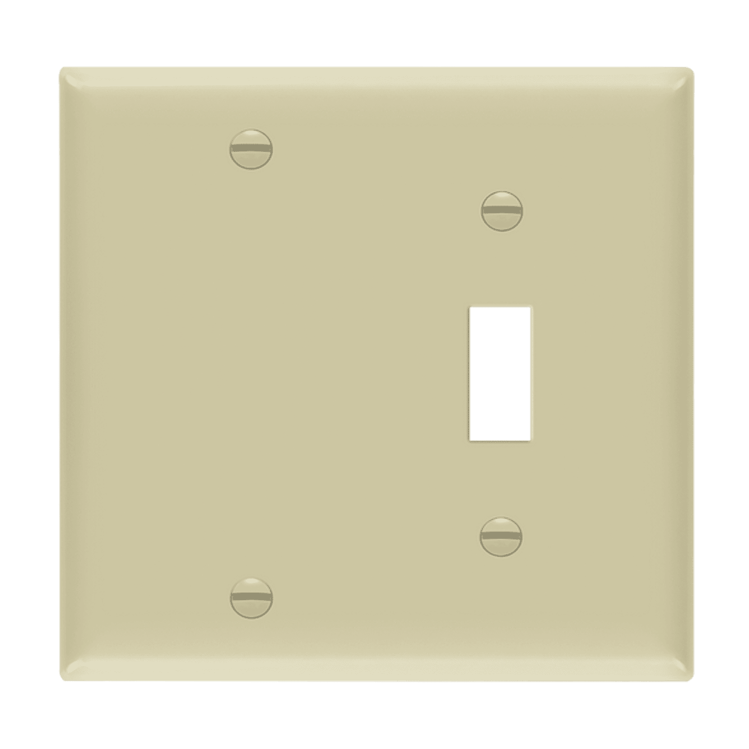 Combination Two Gang Blank and Toggle Wall Plate – Green Electrical Supply