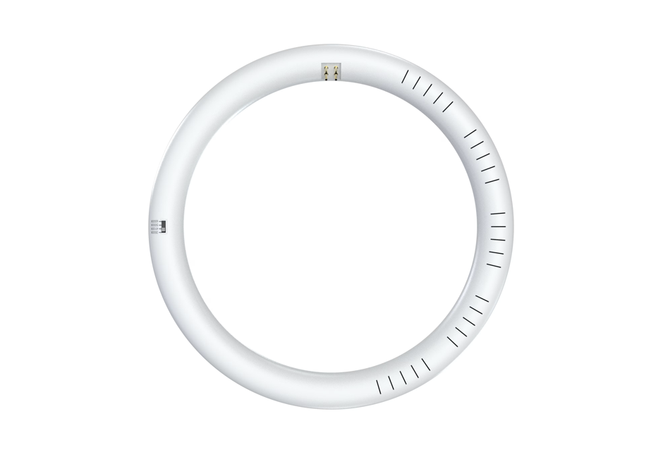 12 Inch 16 Watt T9 LED Circline Type A/B Bulb 3500/4000/5000/6500K ...