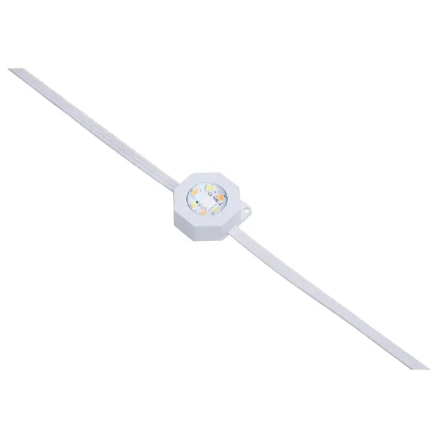 25 Foot Indoor/Outdoor Smart LED Eave Light Extension – Green ...